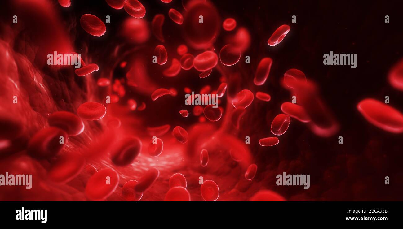Human blood cells, illustration Stock Photo - Alamy