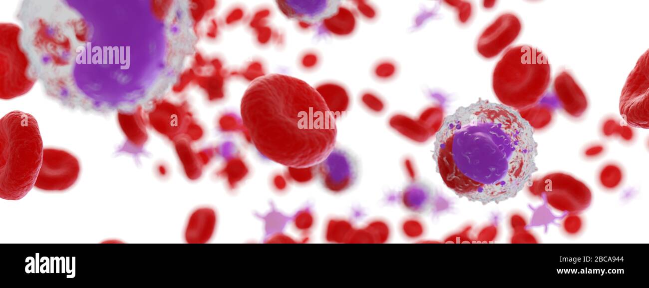 Human blood cells, illustration Stock Photo - Alamy