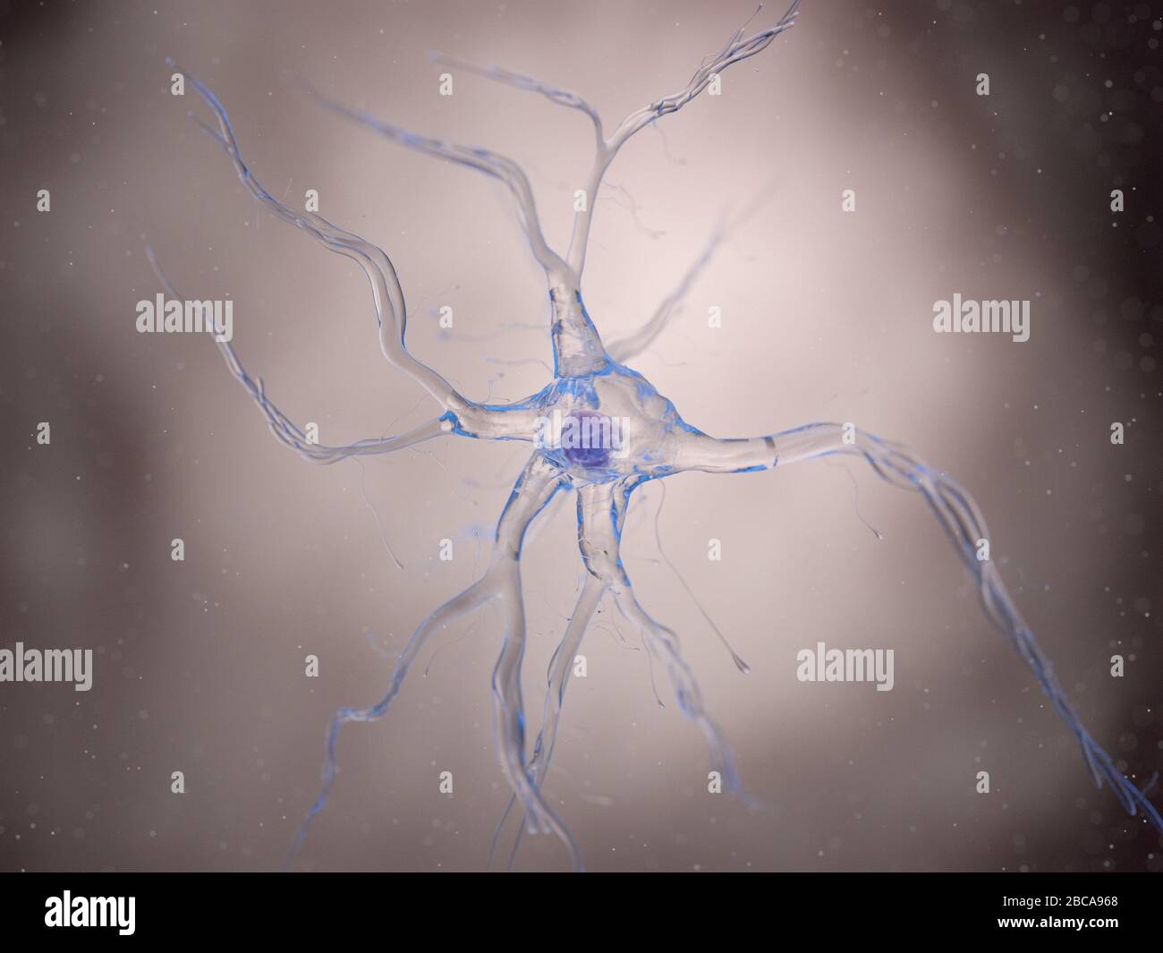 Nerve cell, illustration Stock Photo - Alamy