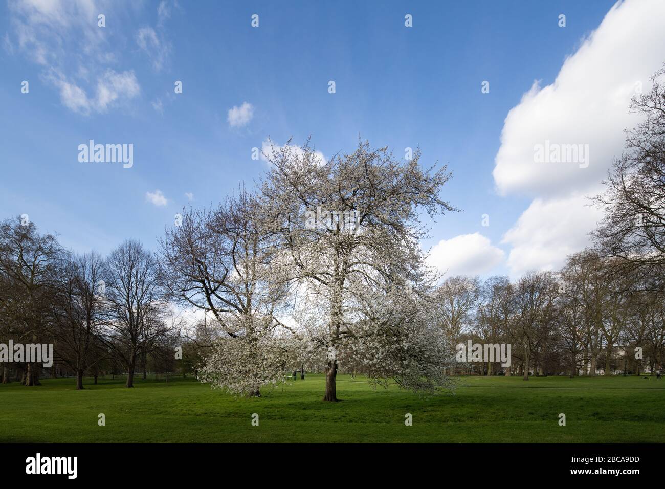Lockdown nature photography hi-res stock photography and images - Alamy