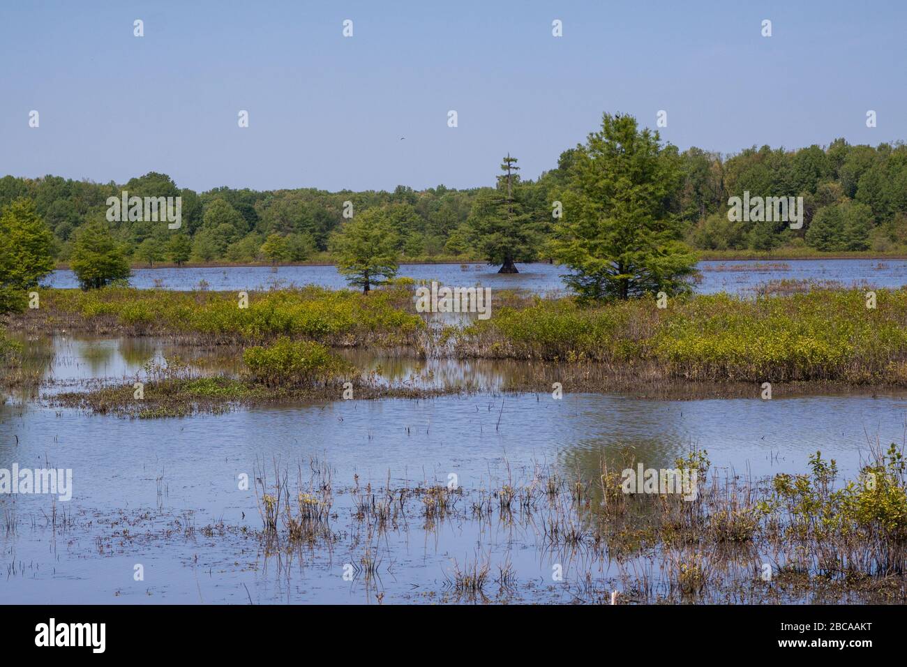 Mingo National Wildlife Refuge High Resolution Stock Photography and ...