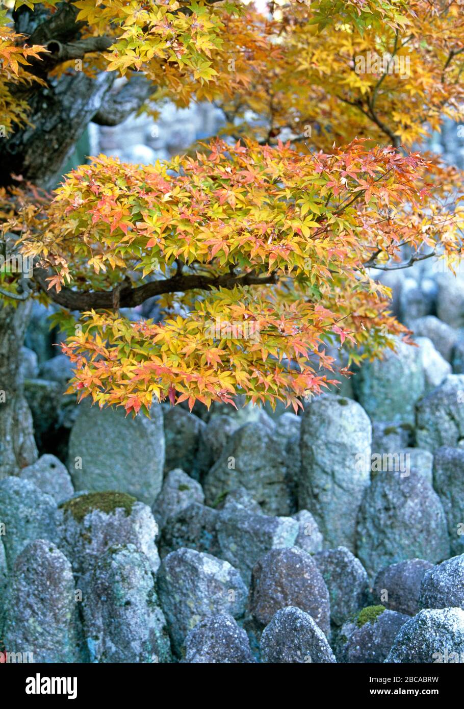 Buddhist cemetery at Adashino Nenbutsu-ji Temple. Kyoto, Japan Stock ...