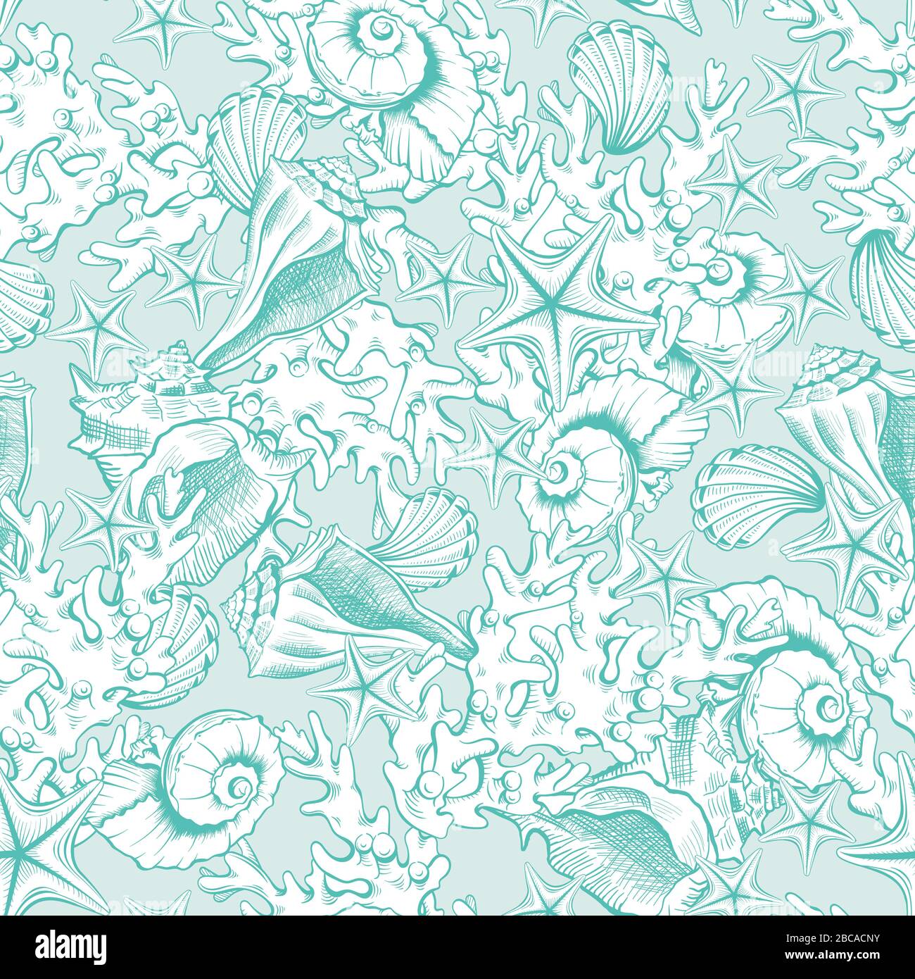Seashells line art pattern background, vector line art sketch sea ...
