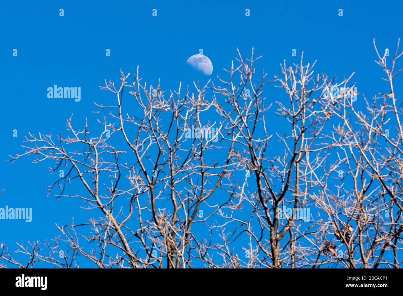 Canada 2nd hi-res stock photography and images - Alamy