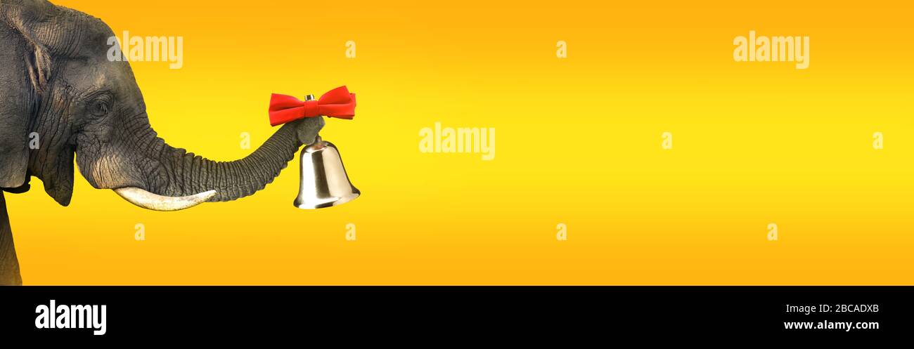 Elephant bell hi-res stock photography and images - Alamy