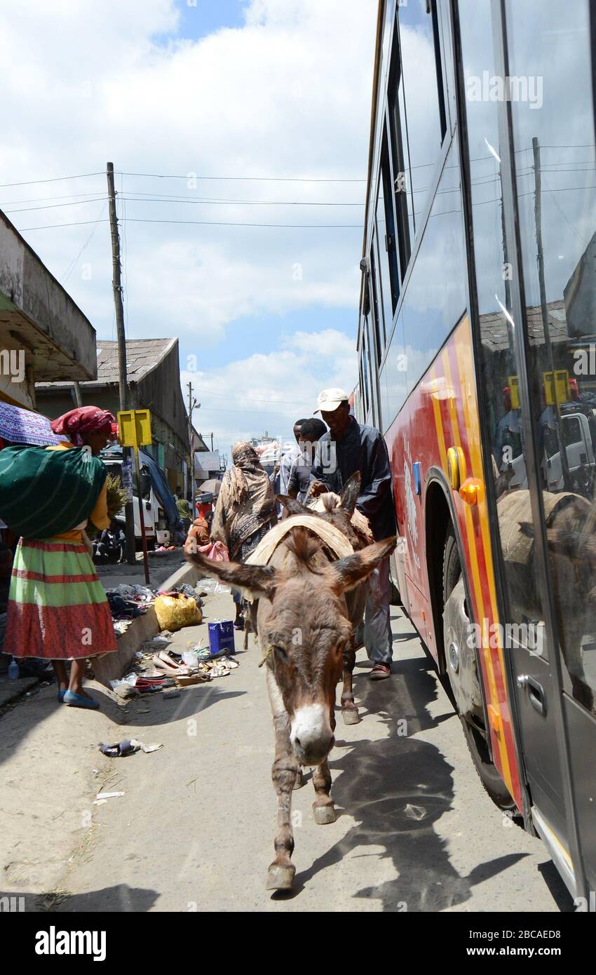 Donkey carrying goods hi-res stock photography and images - Alamy