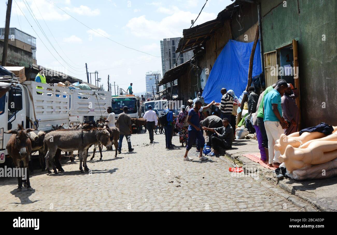 Donkey carrying goods hi-res stock photography and images - Alamy