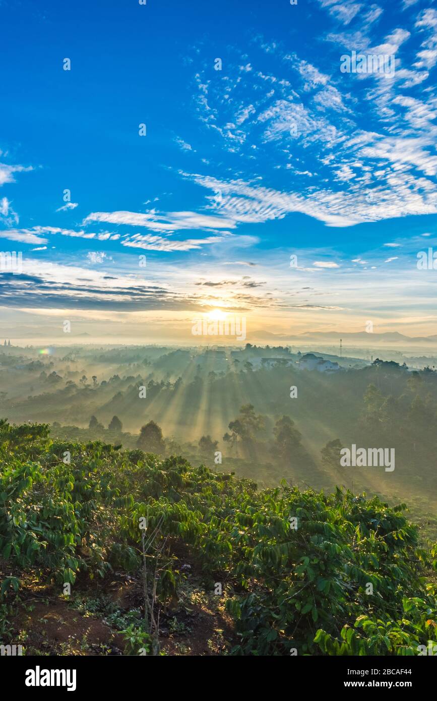 Aerial view bao loc hi-res stock photography and images - Alamy