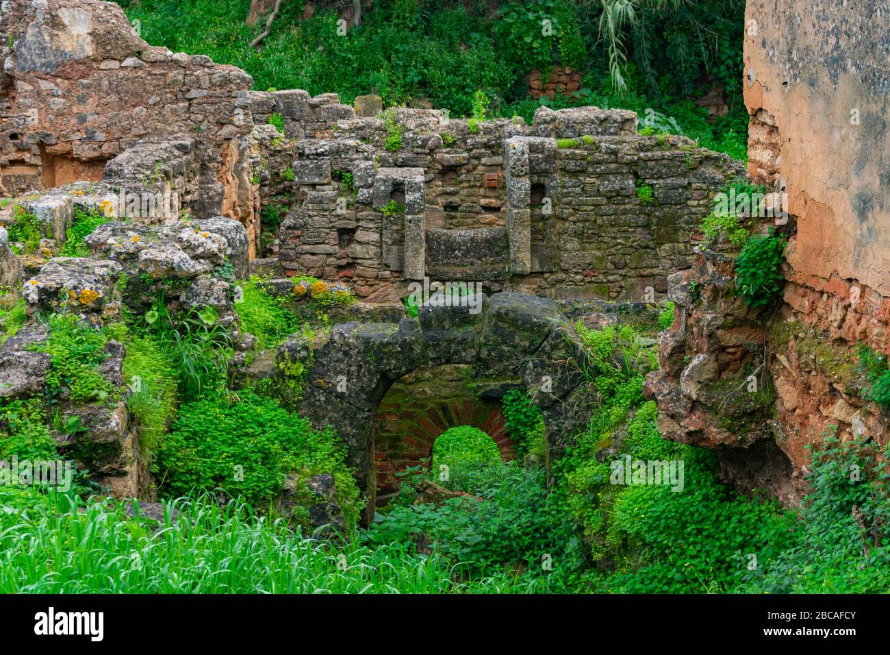 Ruins at Chellah in Rabat Morocco Covered in Greenery Stock Photo - Alamy