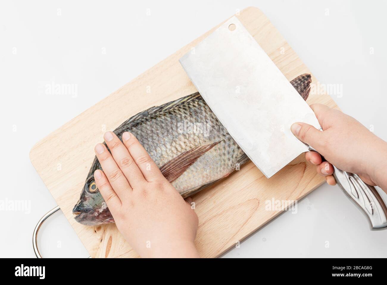 Tilapia is a eviscerated fish with a knife Stock Photo - Alamy