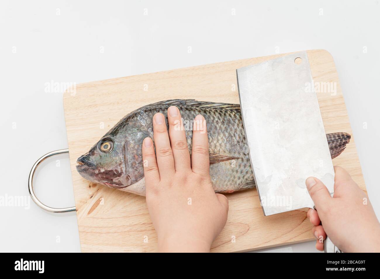 Tilapia is a eviscerated fish with a knife Stock Photo - Alamy