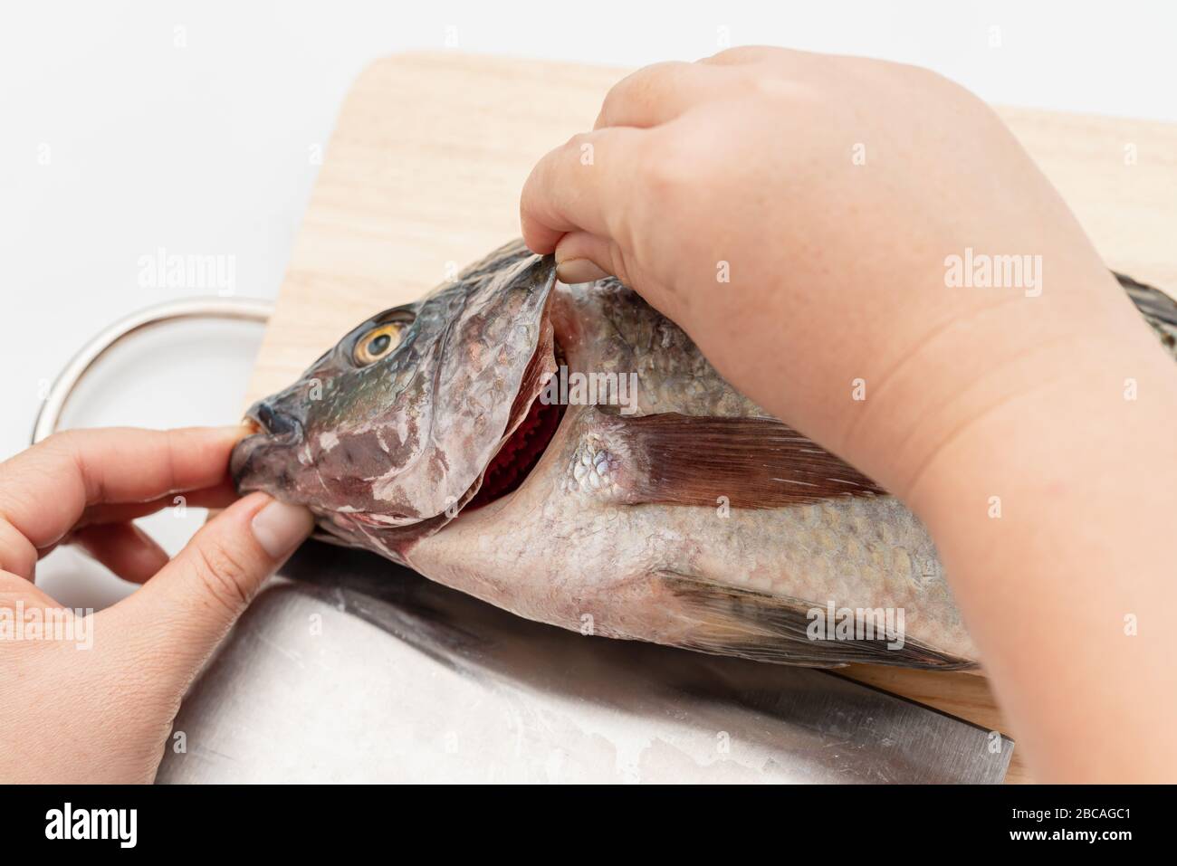 Nile river mouth mediterranean hi-res stock photography and images - Alamy