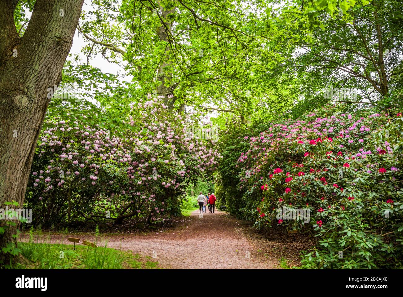 Sweden, Scania, Molle, Krapperups Slott castle, ancient home of the ...