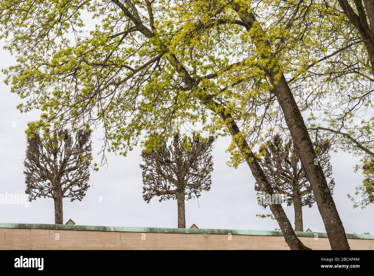 Spring journey hi-res stock photography and images - Alamy