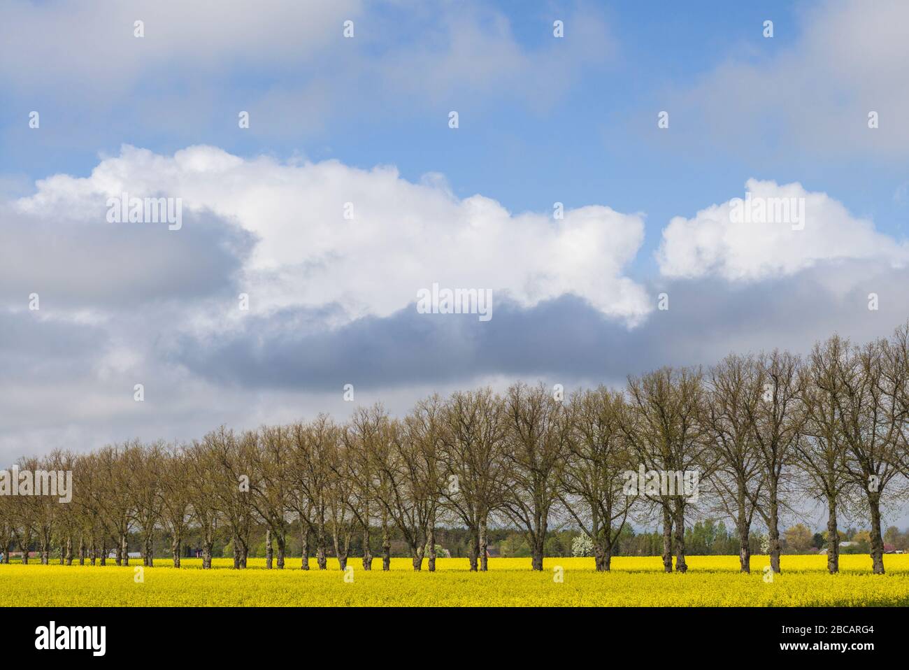 Gotland landscape hi-res stock photography and images - Alamy