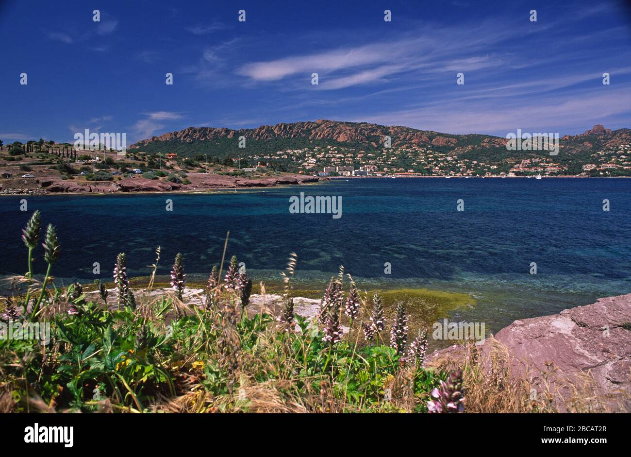 The red rocks of theEsterel Golden Cornice France Provence Stock Photo ...