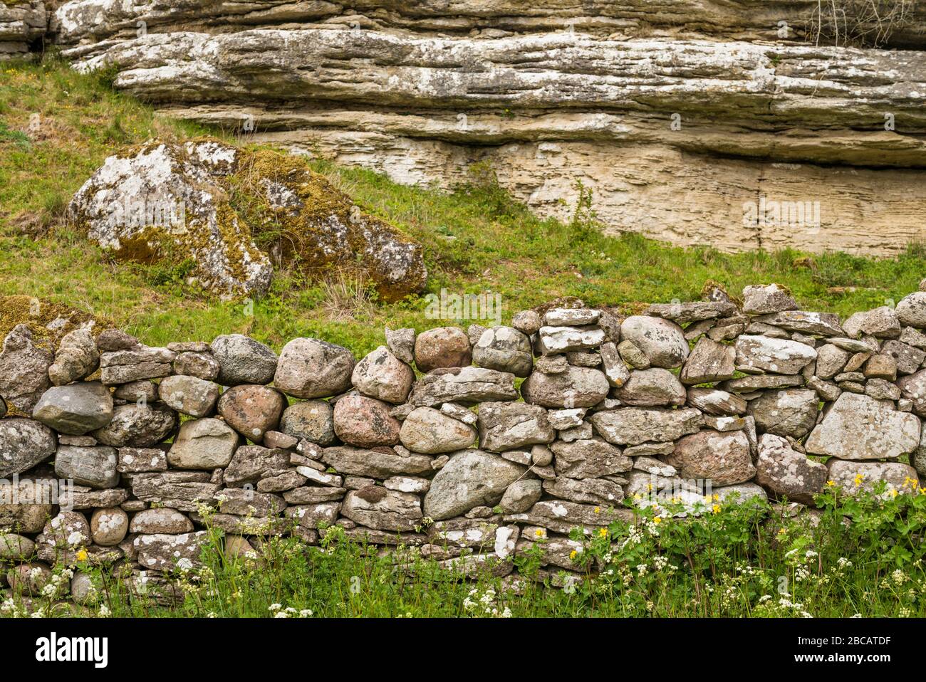 Sweden, Gotland Island, Sundre, stone wall, southern Gotland Stock ...