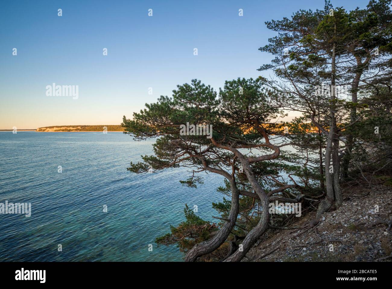 Sweden, Gotland Island, Lickershamn, coastal view, sunset Stock Photo ...
