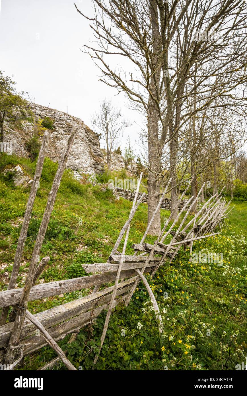 Sweden, Gotland Island, Sundre, wooden fence, southern Gotland Stock ...