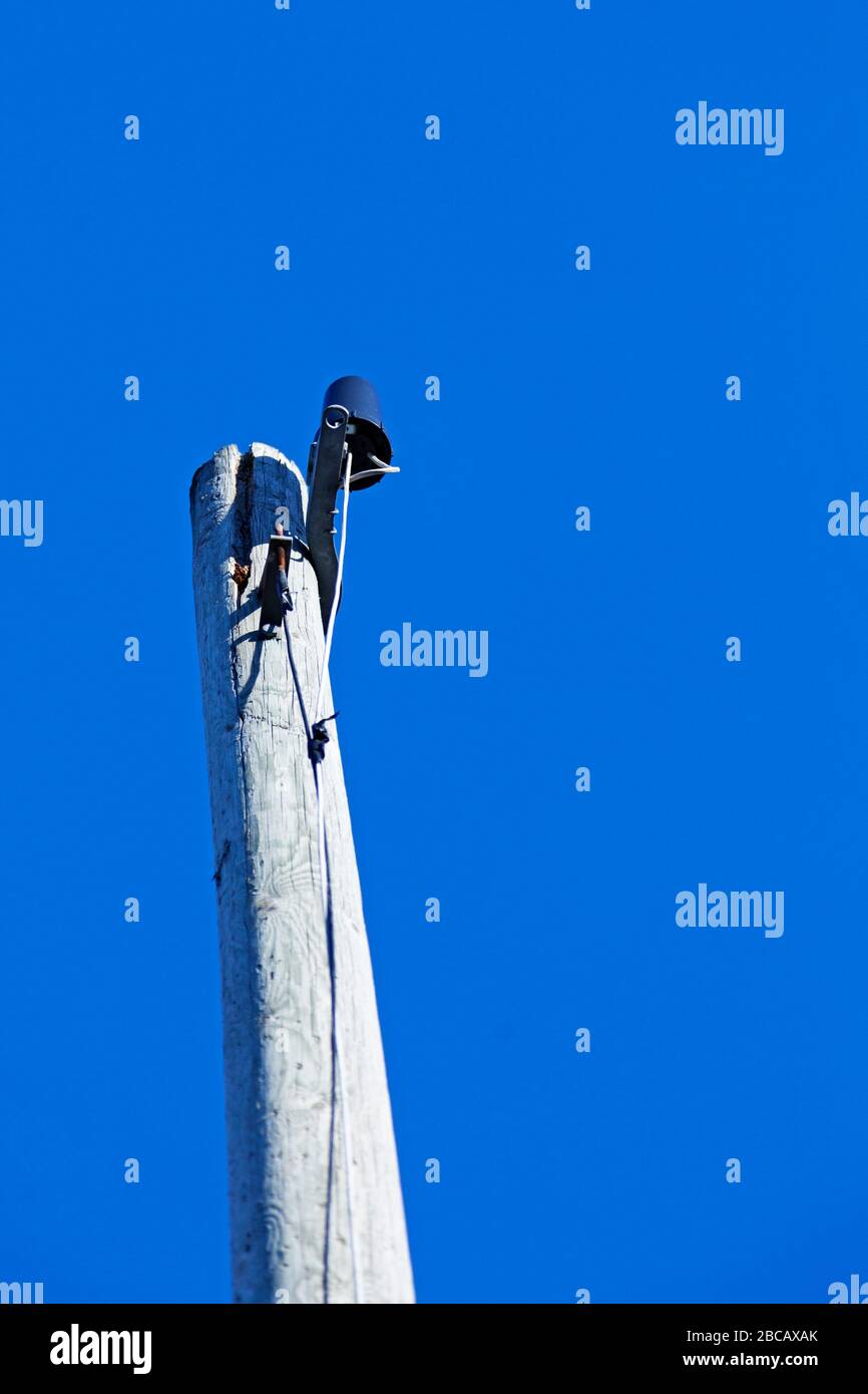 old wooden post made for power lines Stock Photo - Alamy