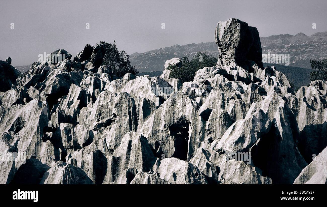 Human shapes in nature hi-res stock photography and images - Alamy