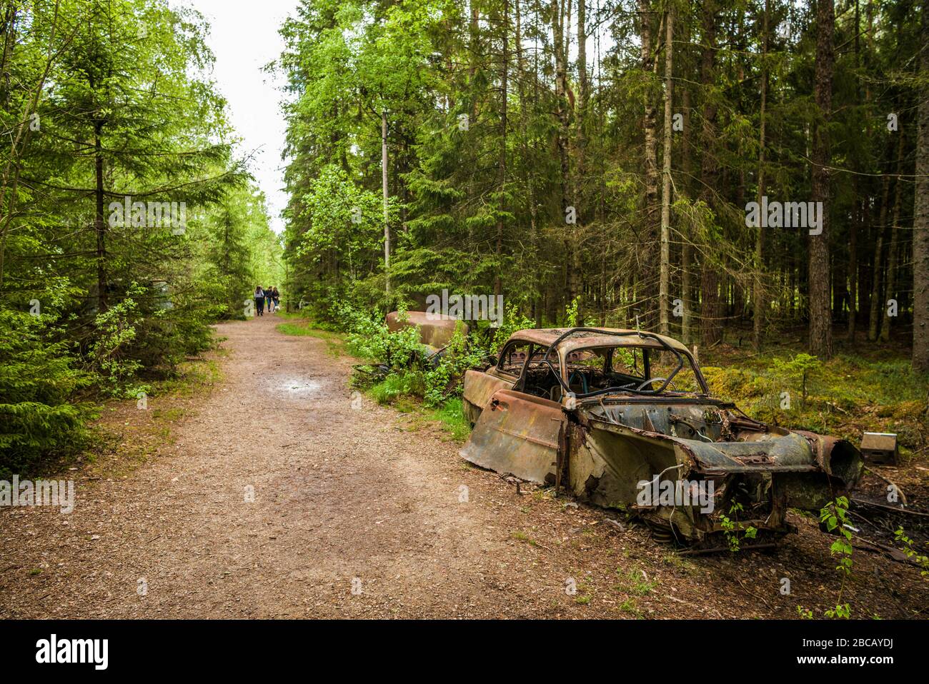 Sweden, Smaland, Ryd, Kyrko Mosse Car Cemetery, former junkyard now pubic park, junked cars ...