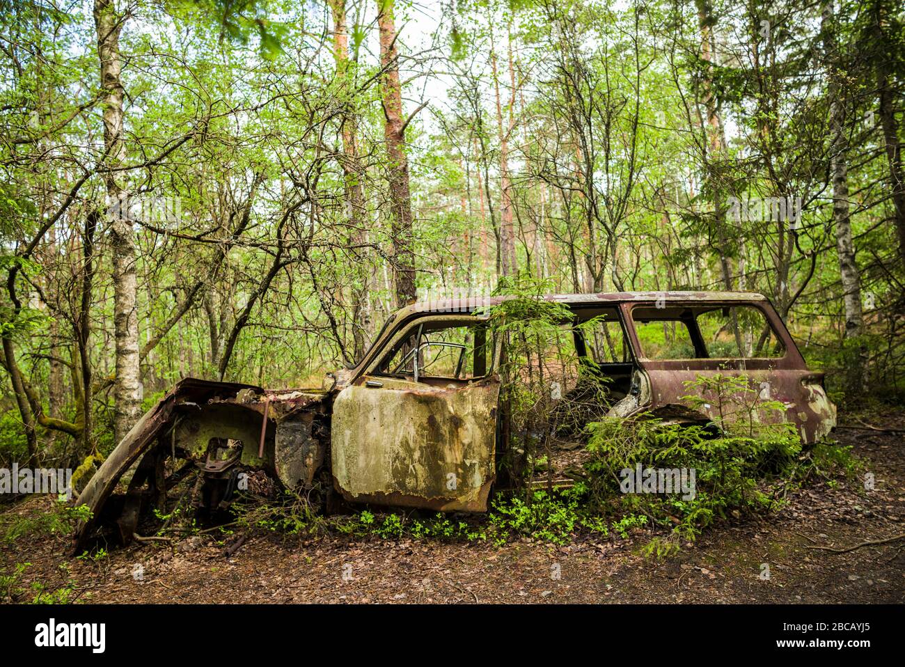 Junked abandoned car cars hi-res stock photography and images - Alamy