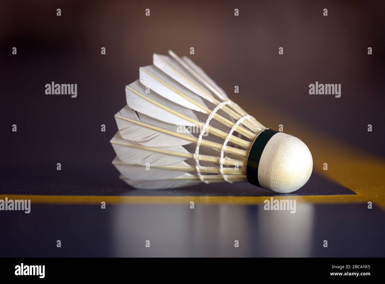 Cream white badminton shuttlecock ona blue floor indoor badminton court ...