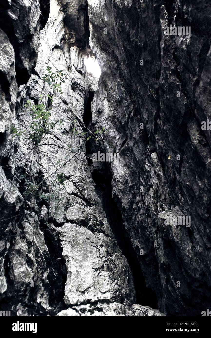 Lebanon landmarks hi-res stock photography and images - Alamy