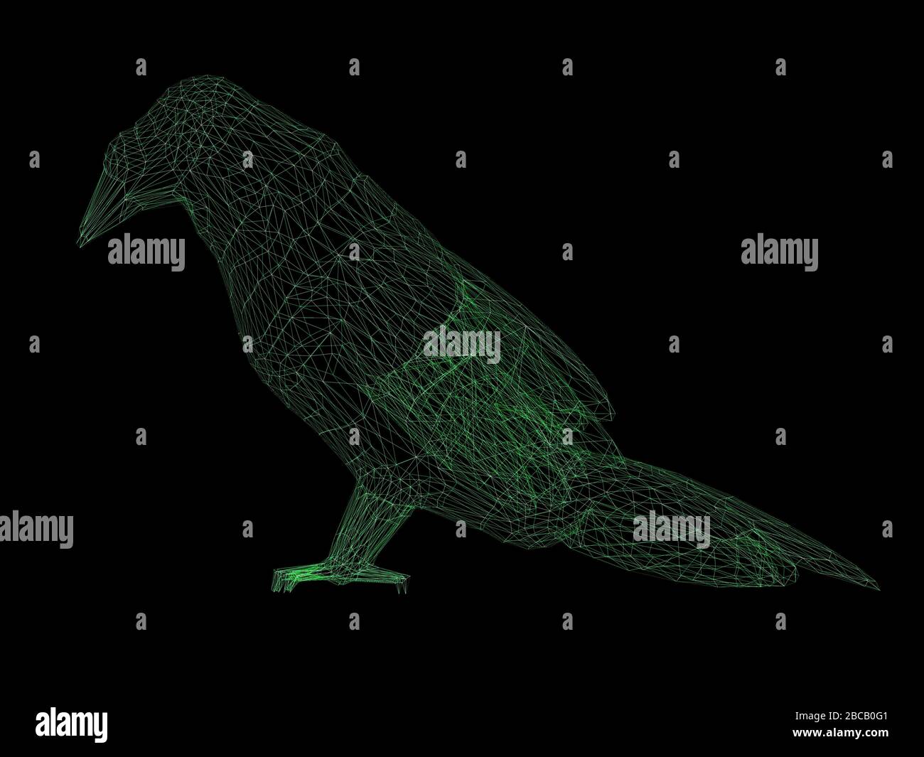 3d rendering wireframe polygonal bird isolated on black Stock Photo - Alamy