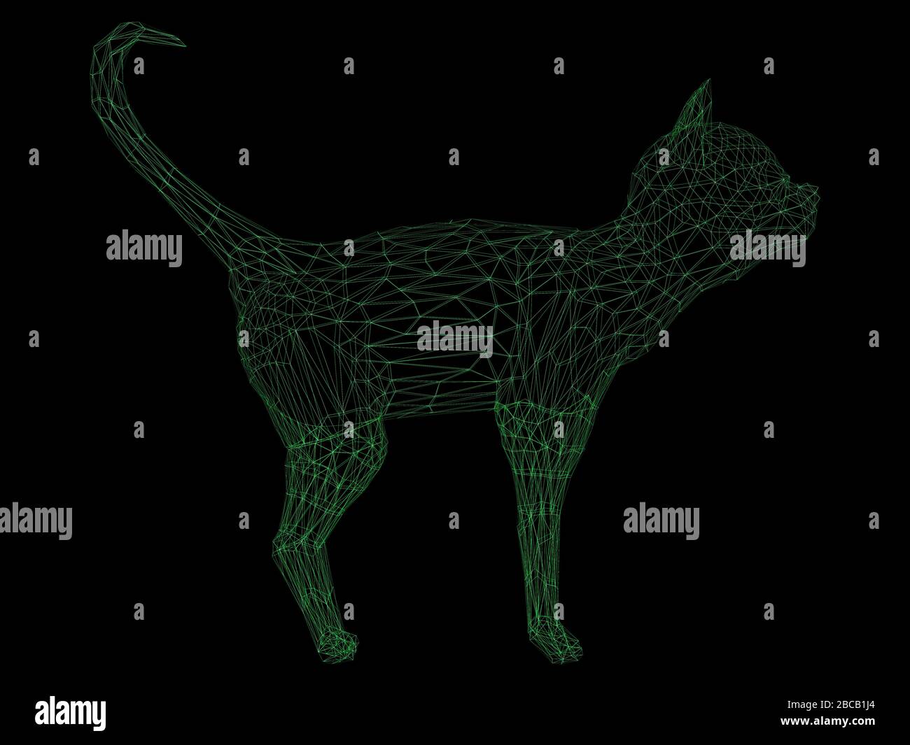 3d rendering wireframe polygonal cat isolated on black Stock Photo - Alamy