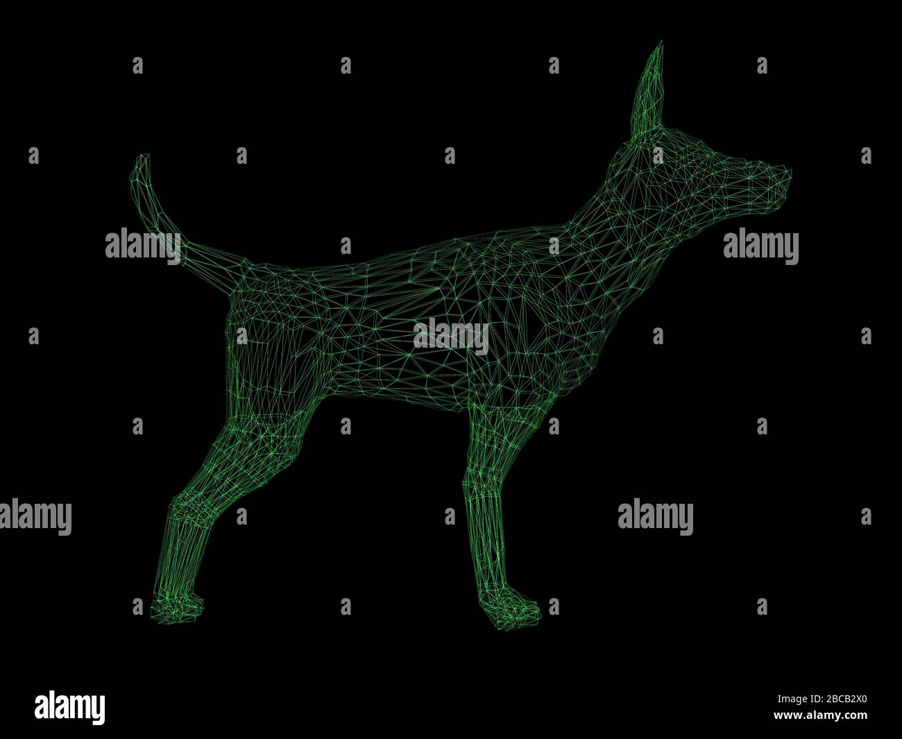 3d rendering wireframe polygonal dog isolated on black Stock Photo - Alamy