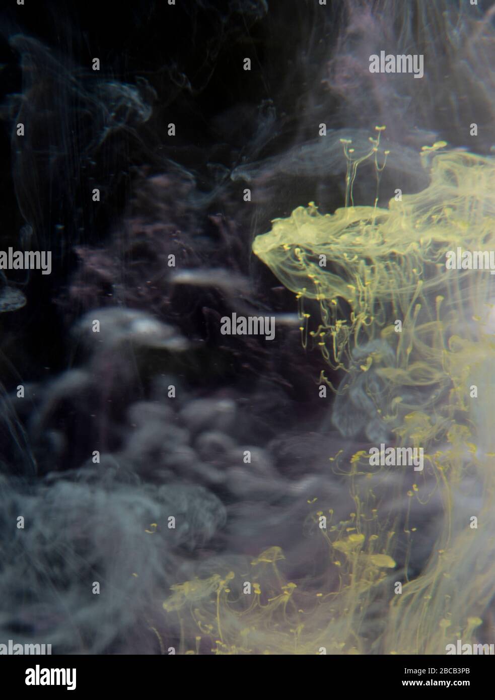 Gradients colors hi-res stock photography and images - Alamy