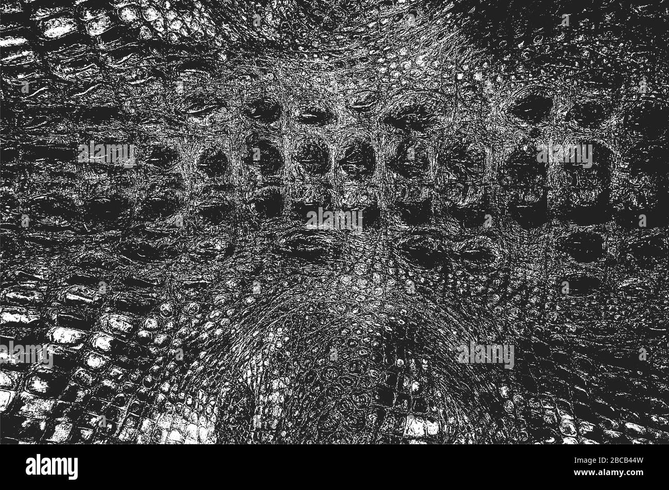 Snake Skin Texture Black and White Stock Photos & Images - Alamy