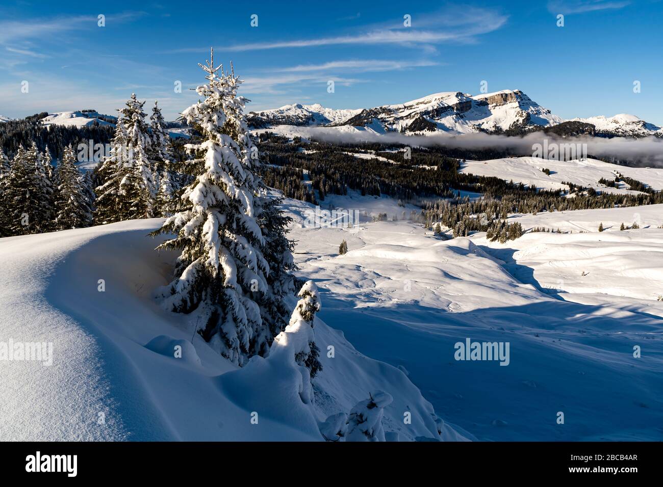 Berner oberland landscape hi-res stock photography and images - Alamy