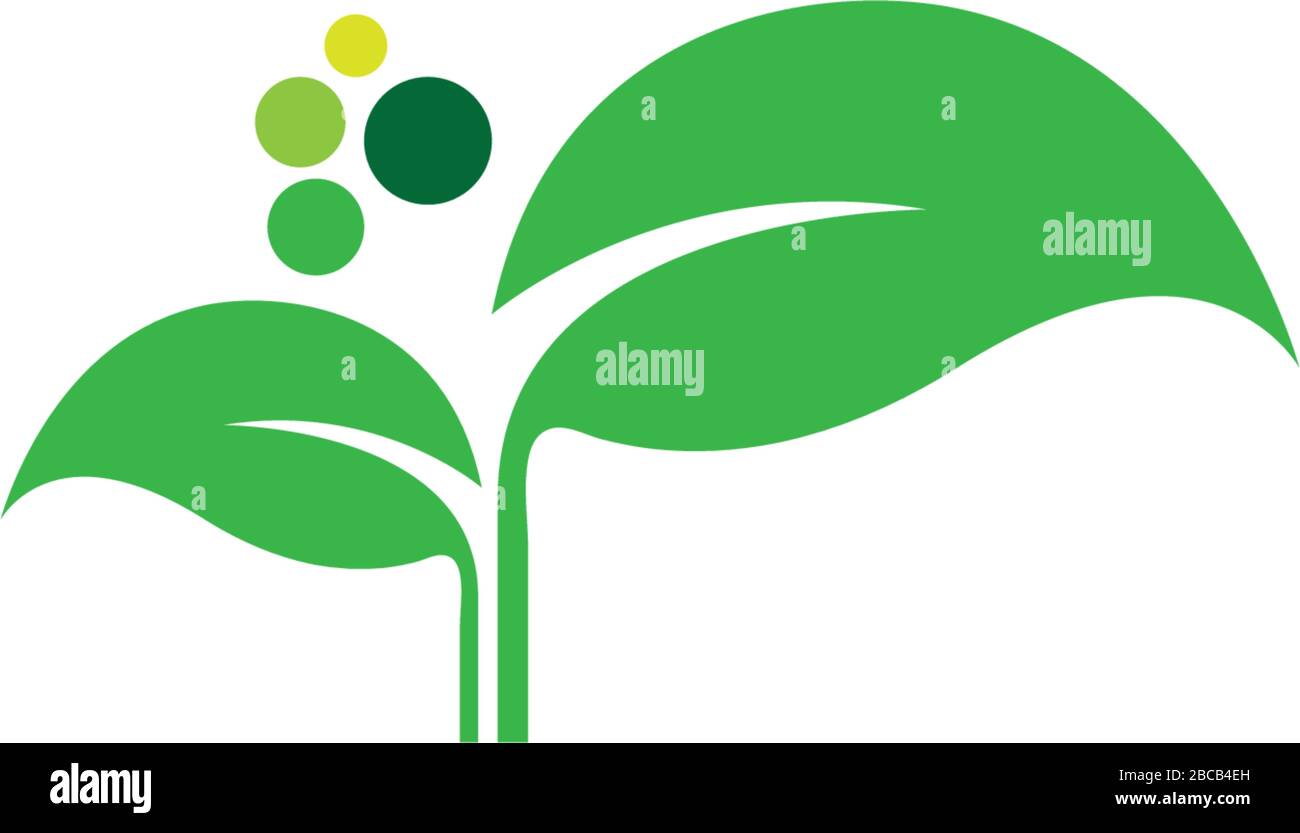 plant icon vector green illustration Stock Vector Image & Art - Alamy