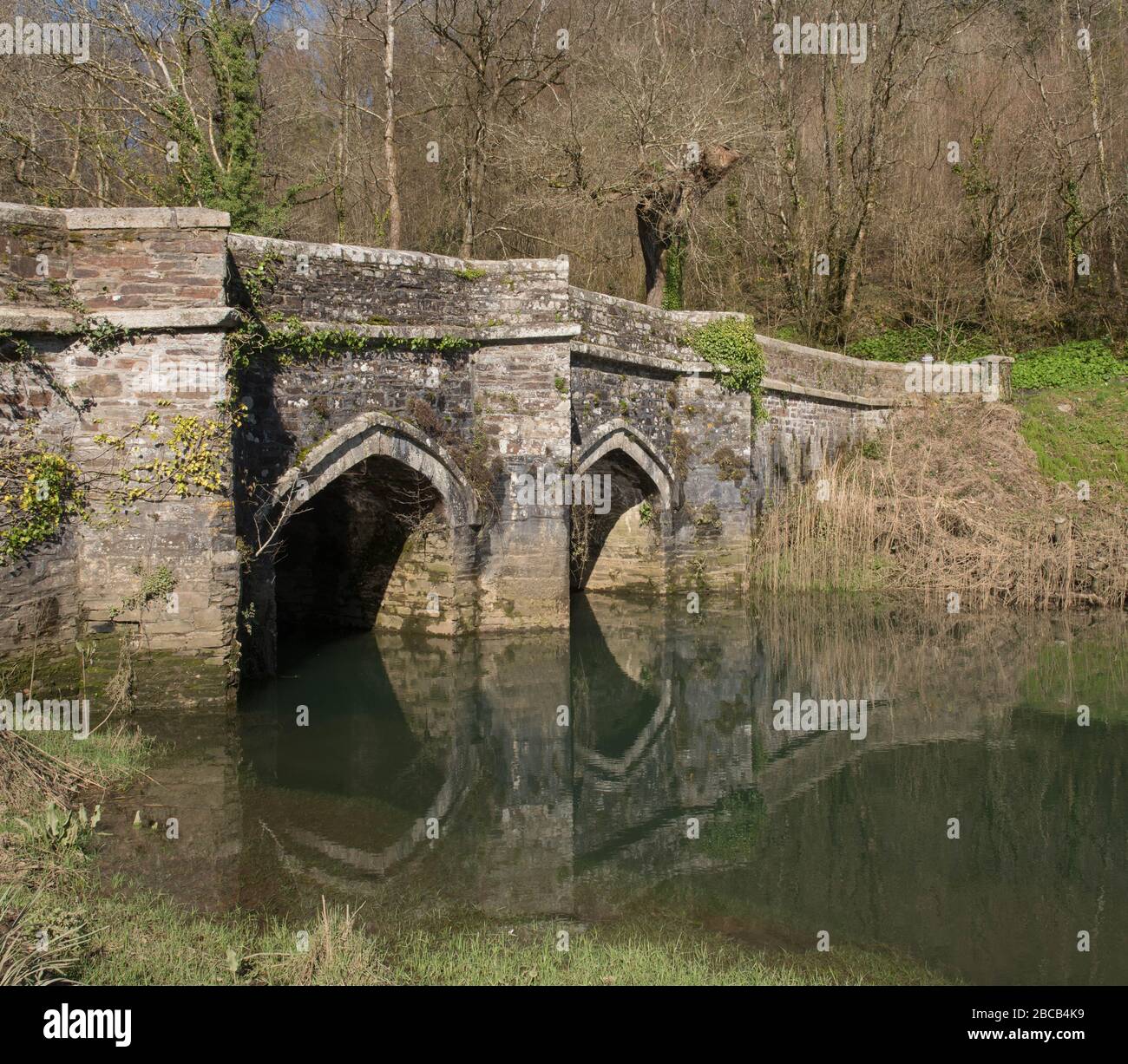 Old Stone Bridge at Cotehele Crossing the Morden Stream in the Tamar ...
