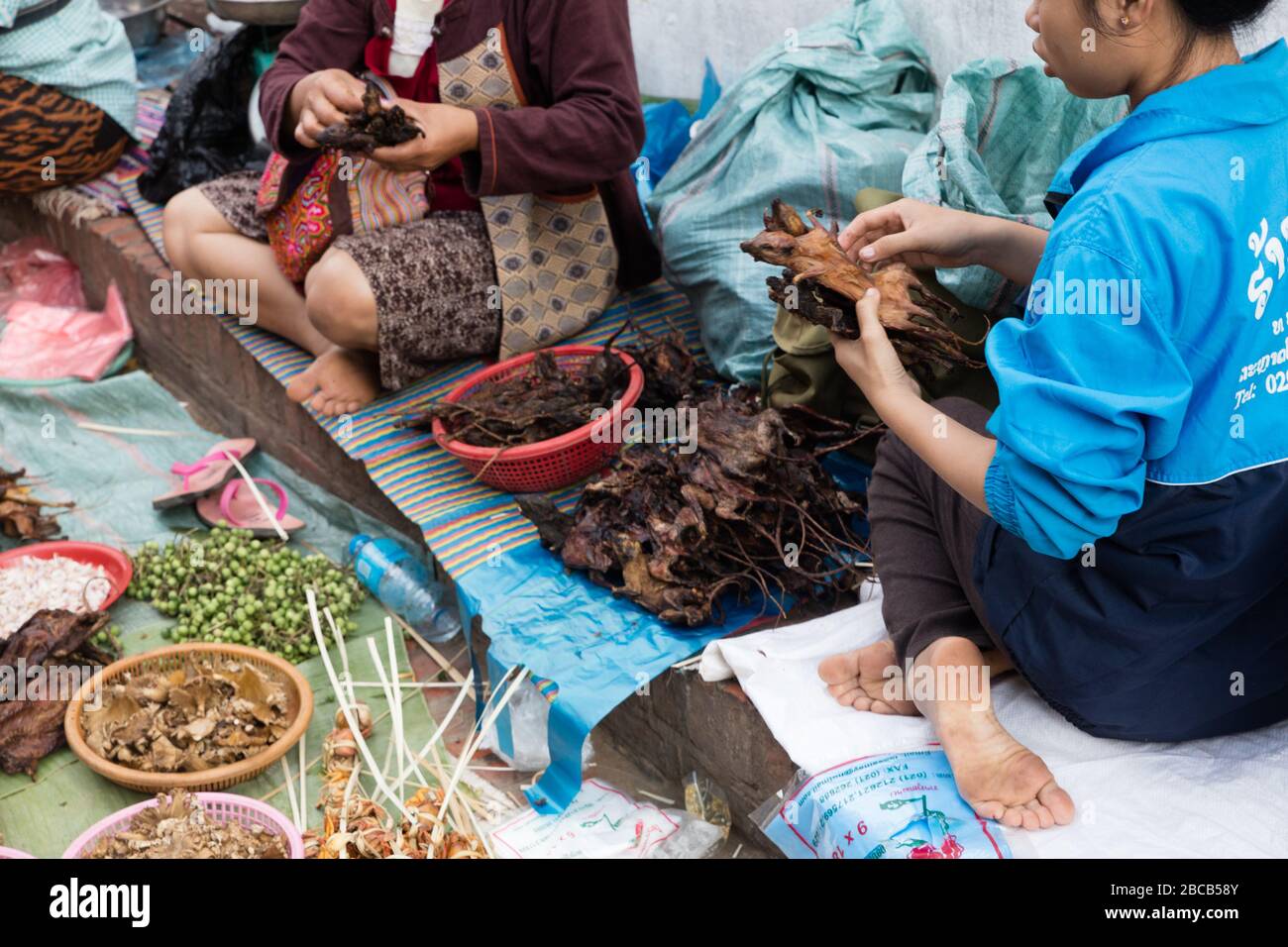 Roasted rat sold inmarket in Luang Prabang, Laos Stock Photo - Alamy