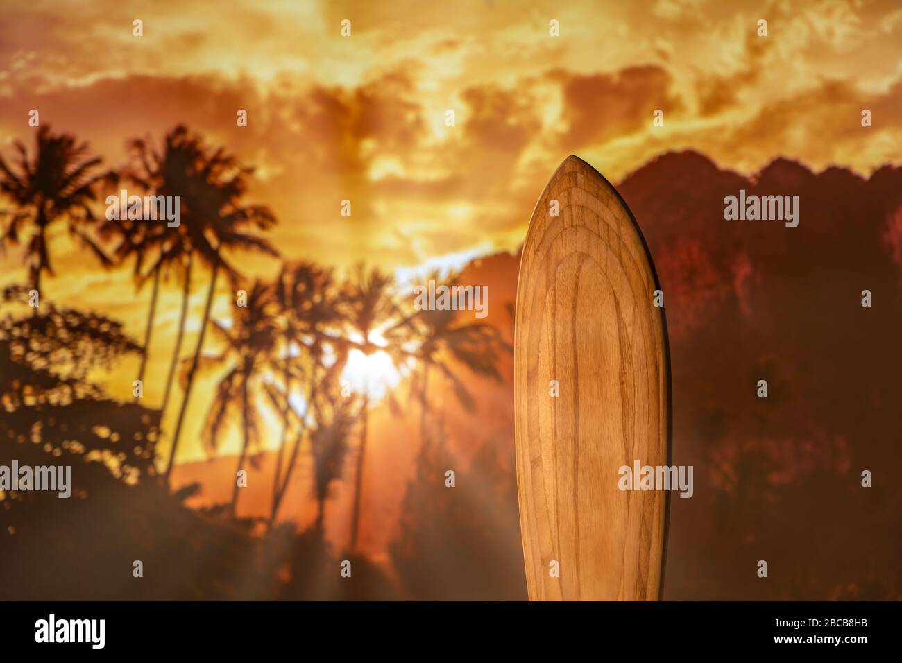 Surfboard at the tropical beach Stock Photo - Alamy