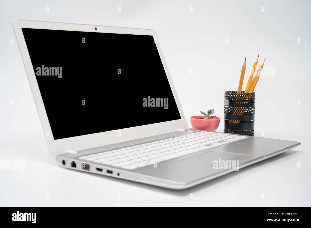 Online learning concept. Internet lesson concept using a laptop ...