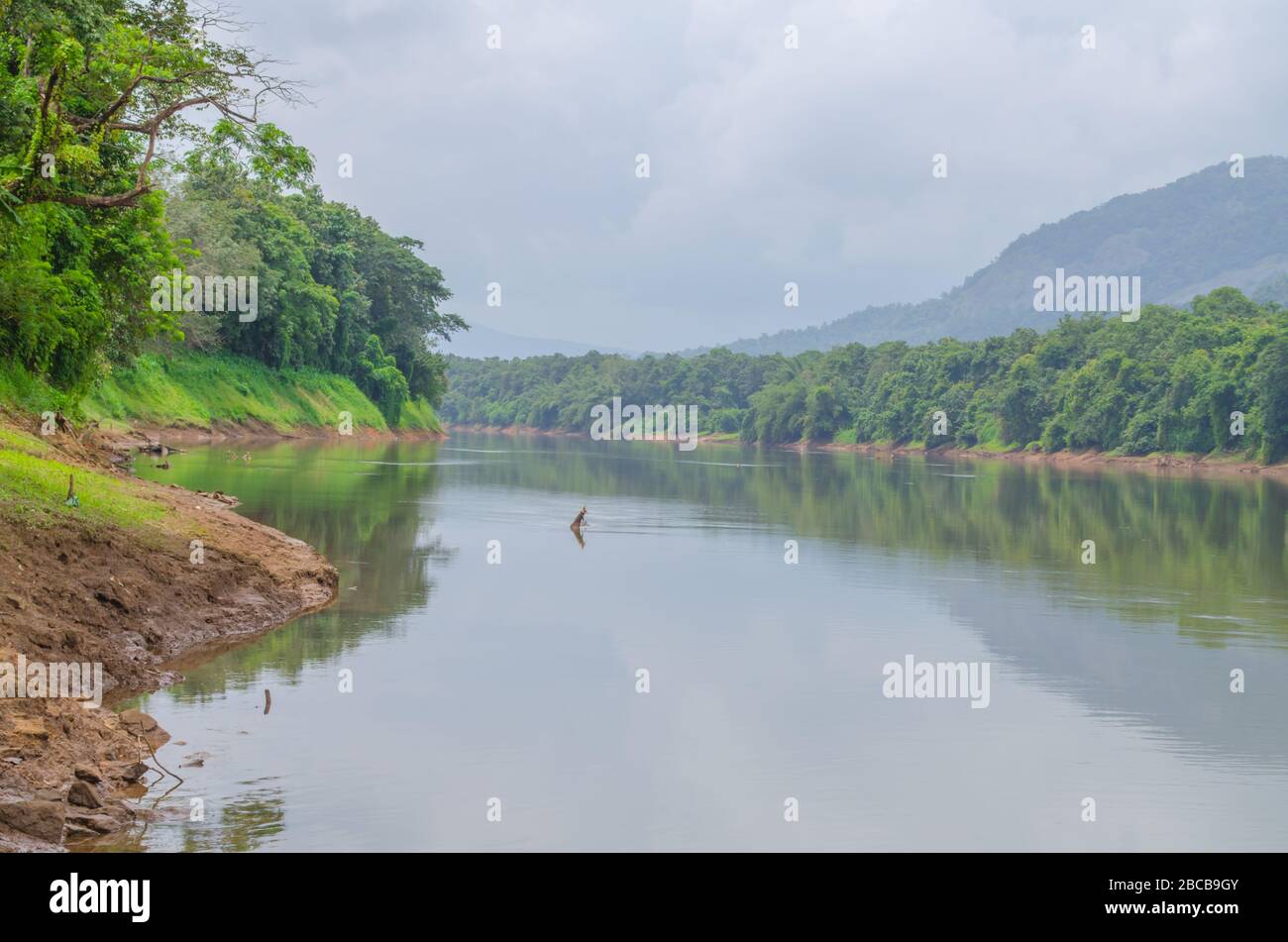 Suryanelli is untouched nature's paradise in Kerala, India Stock Photo ...