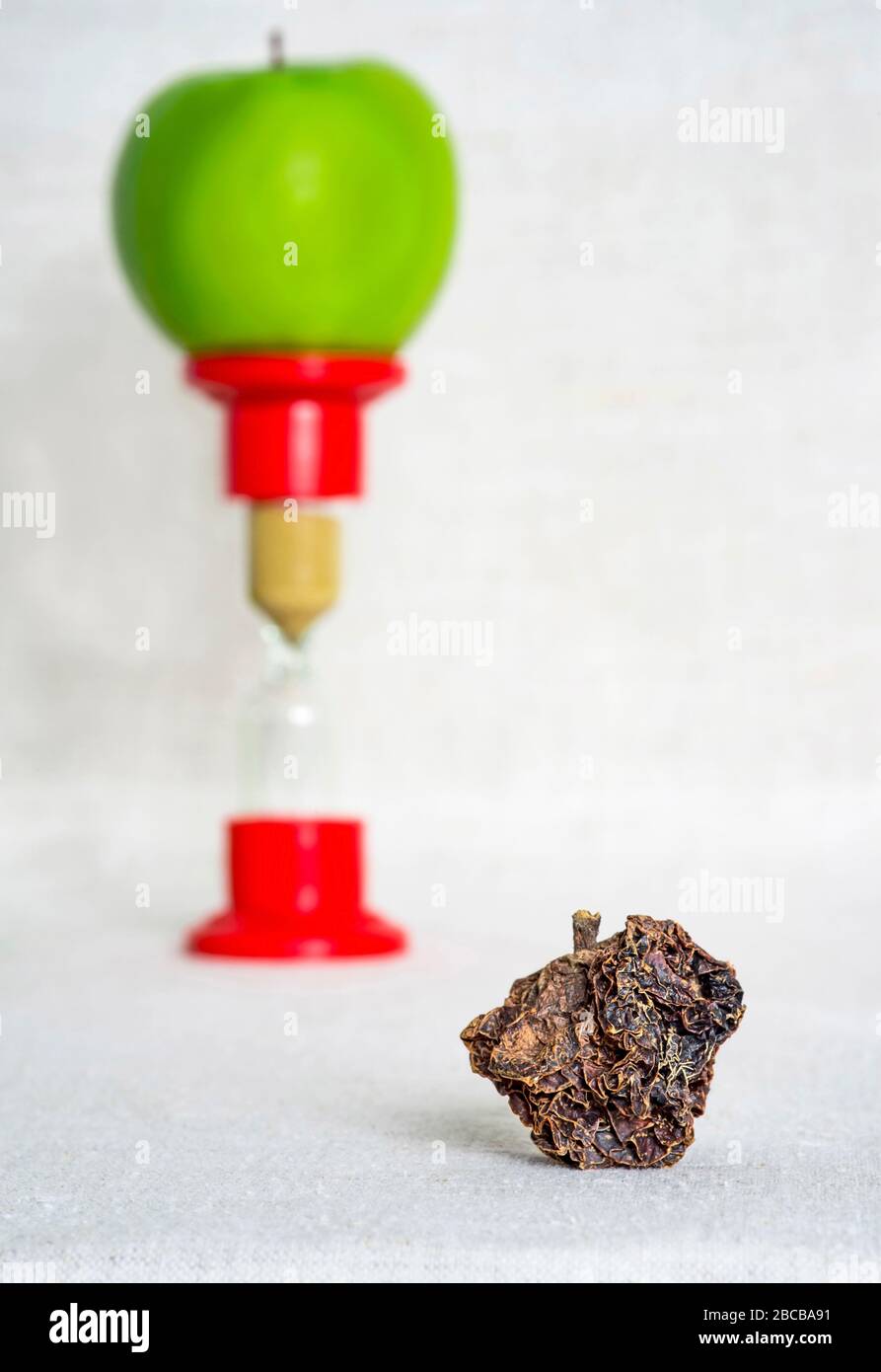 Product life cycle hi-res stock photography and images - Alamy