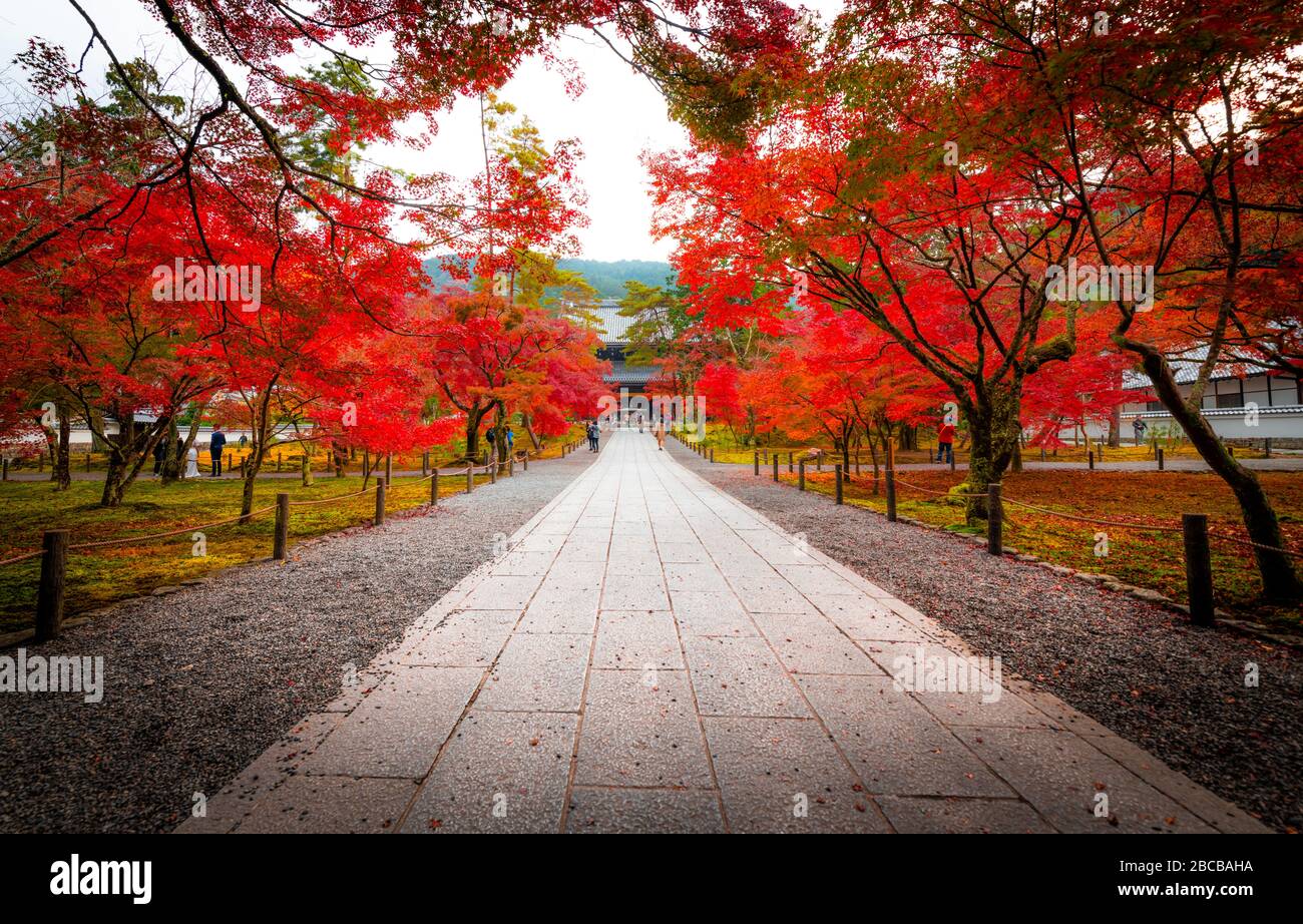 The red canopy walkway Stock Photo - Alamy