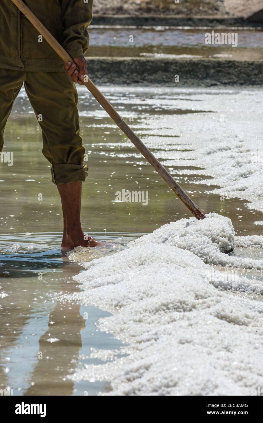 Closeup photo of worker collecting salt at sea salt farm Stock Photo ...