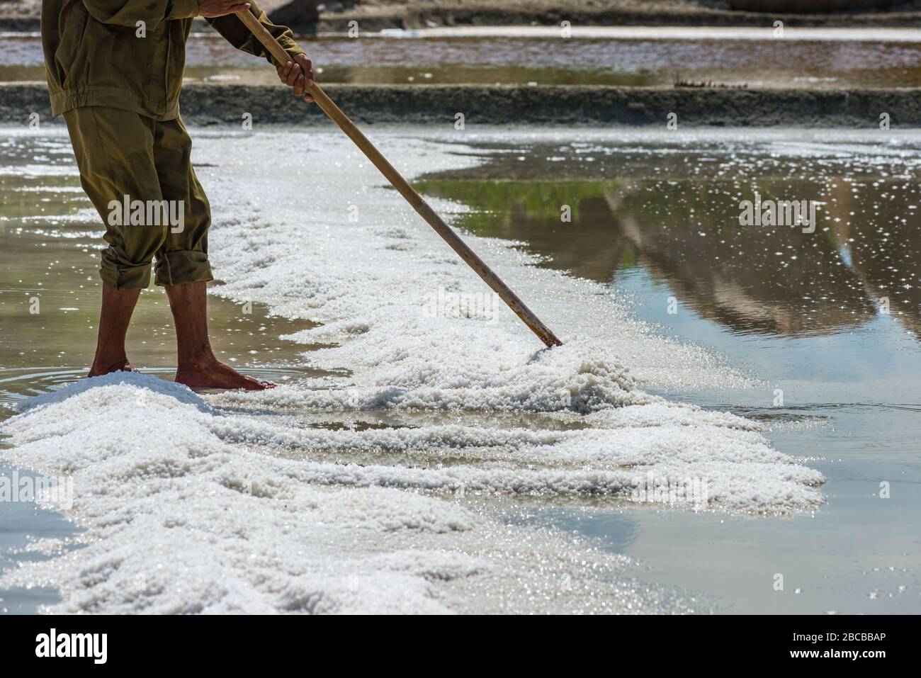 Worker using wooden tool harvesting salt at sea salt farm Stock Photo ...