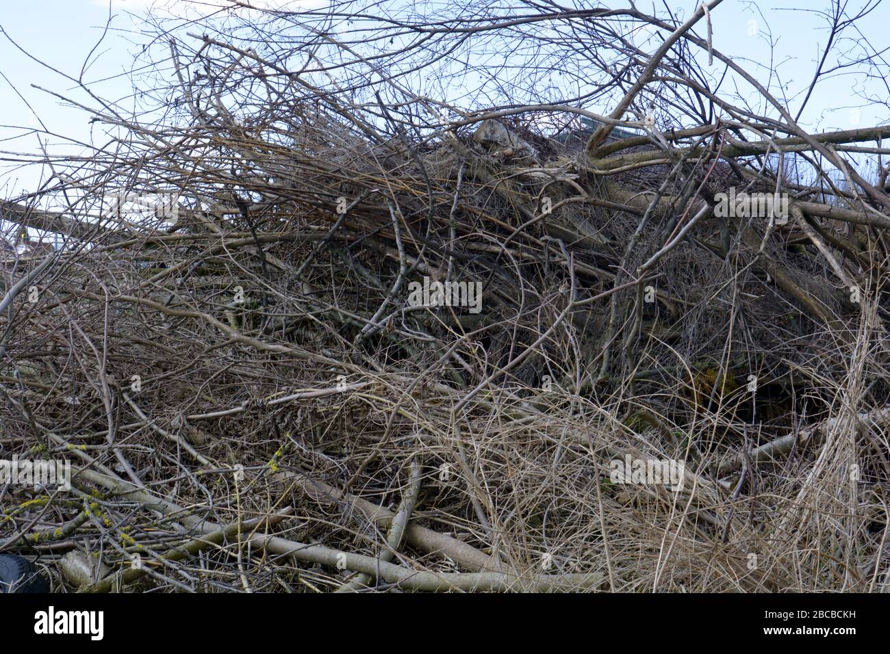Brushwood heap hi-res stock photography and images - Alamy