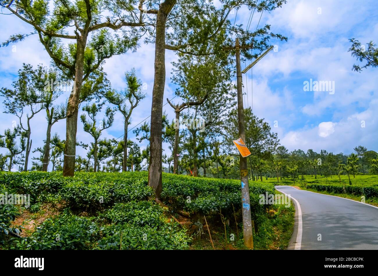 Suryanelli is untouched nature's paradise in Kerala, India Stock Photo ...