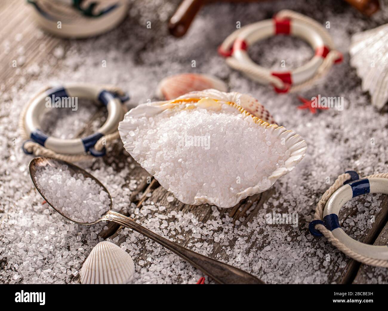 Sea salt concept. Still life of sea salt in shell Stock Photo - Alamy
