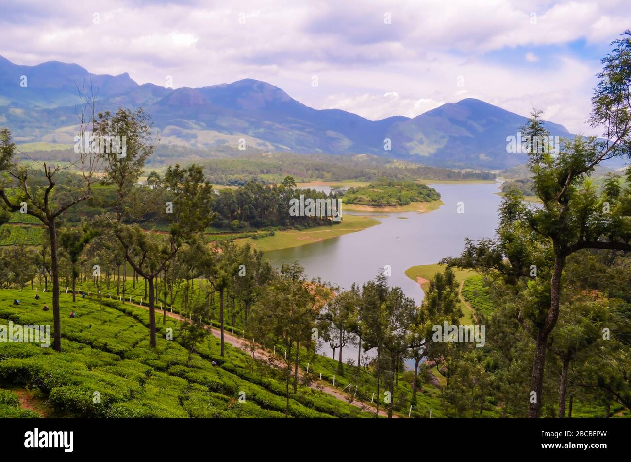 Suryanelli is untouched nature's paradise in Kerala, India Stock Photo ...