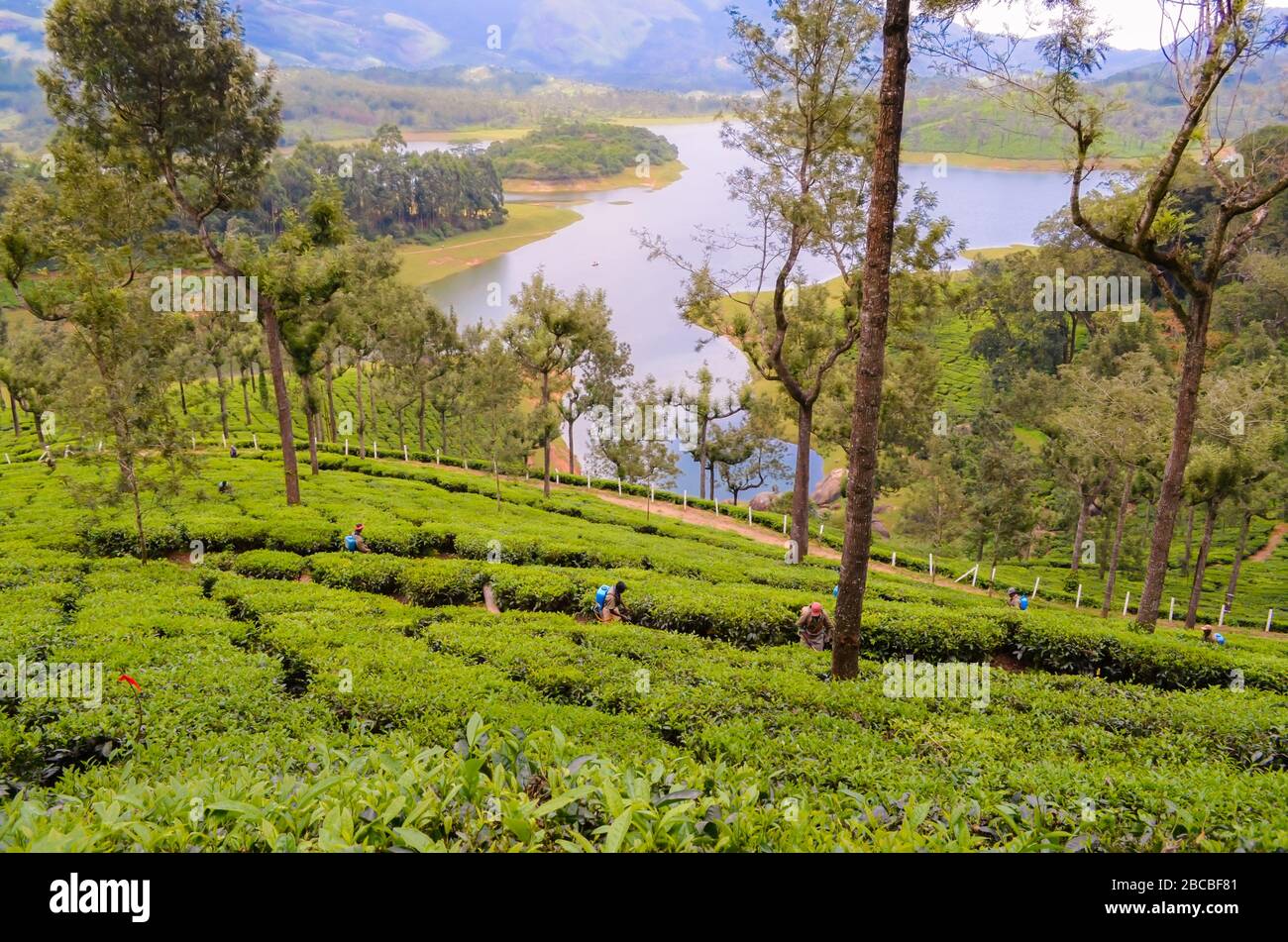 Suryanelli is untouched nature's paradise in Kerala, India Stock Photo ...